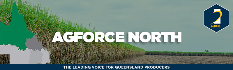 North Queensland · AgForce · Advancing Rural Queensland