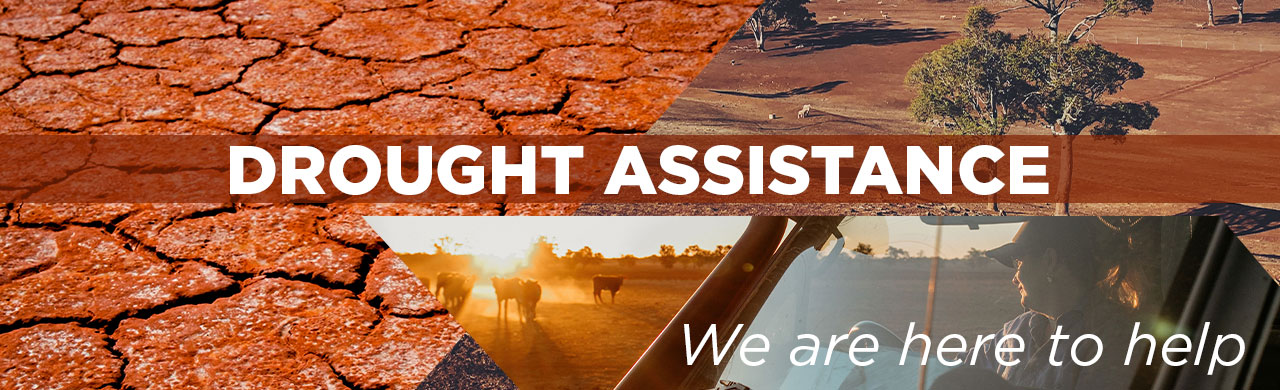 Home · AgForce · Advancing Rural Queensland